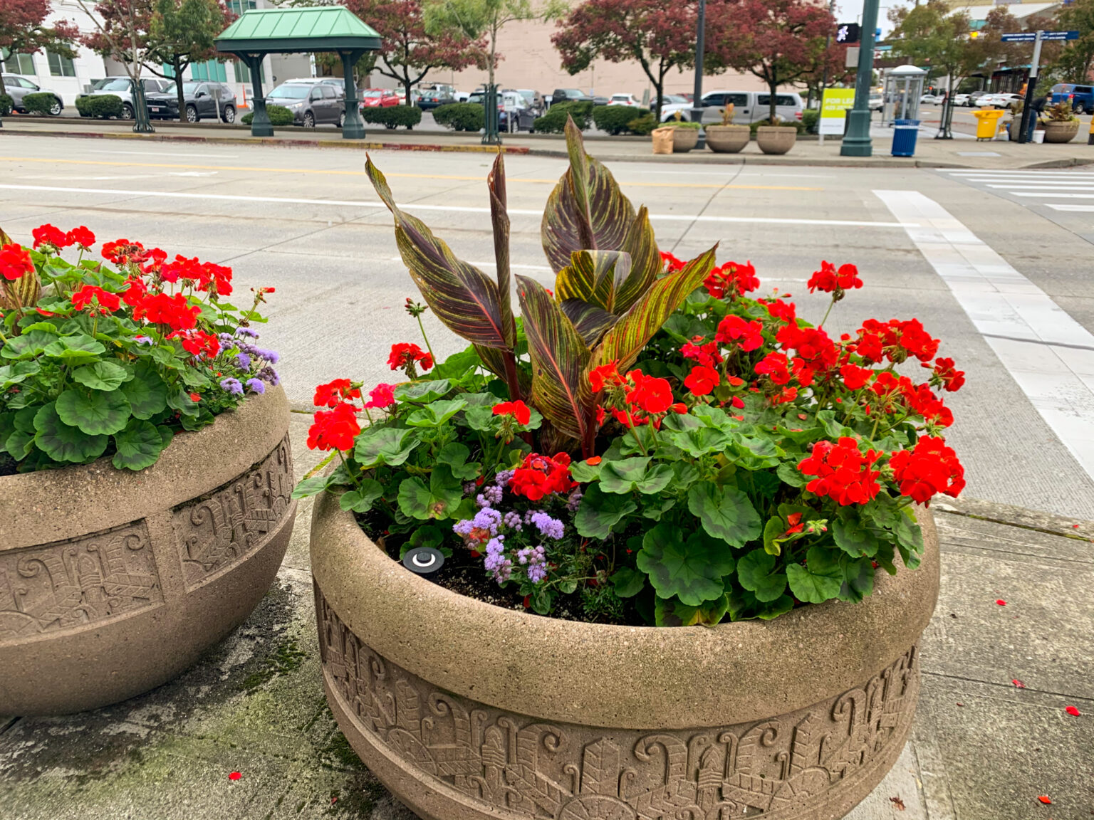 Downtown Flower Program – Downtown Everett Association